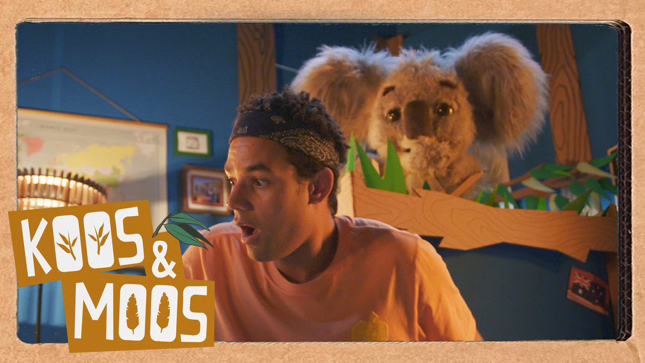 Koos & Moos - Koos de Koala